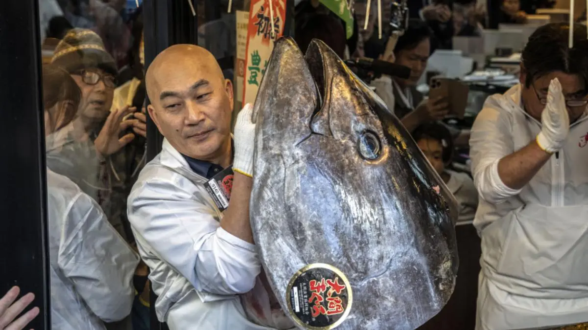 Tokio: Rekordpreis von 2,8 Millionen Euro für Thunfisch in Tokio