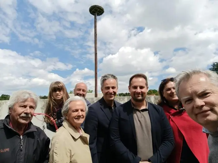 Storchen-News aus Graz: Jungstörche in Andritz geschlüpft, neuer Horst ...