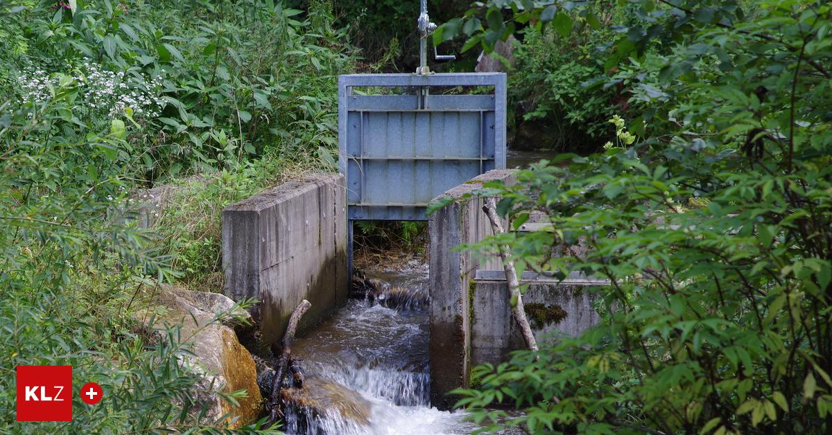 Carlos sotto mayor topless she is way more attractive than