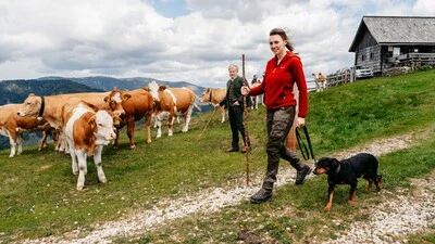 Kleine Zeitung Steiermark – Aktuelle News aus allen Regionen
